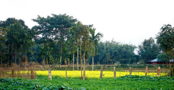 Jorhat Photos, Pictures of Famous Tourist Places and Attractions ...