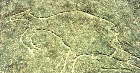 Kota Photos, Pictures of Famous Tourist Places and Attractions-NativePlanet