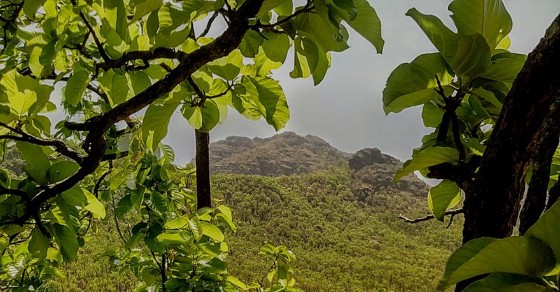 Pachmarhi Photos, Pictures of Famous Tourist Places and Attractions ...