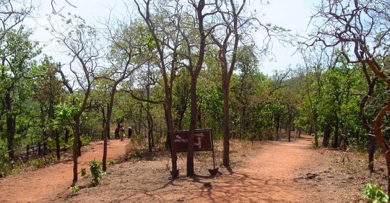 Pachmarhi Photos, Pictures of Famous Tourist Places and Attractions ...