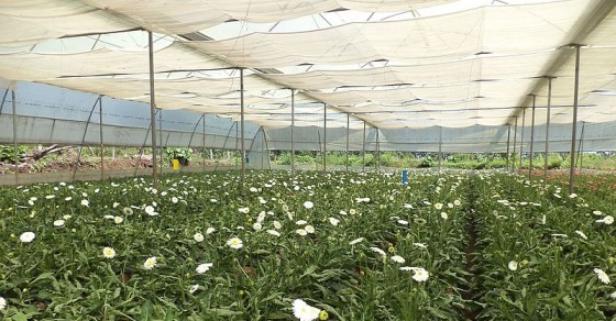 Samastipur Photos, Pictures of Famous Tourist Places and Attractions ...