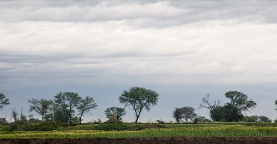 Samastipur Photos, Pictures of Famous Tourist Places and Attractions ...