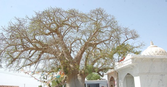 Tonk Photos, Pictures of Famous Tourist Places and Attractions-NativePlanet