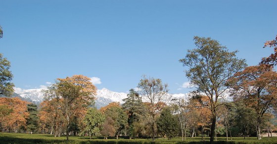 Al-Hilal Photos-NativePlanet