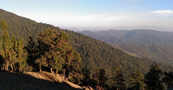 Mandi Photos, Pictures of Famous Tourist Places and Attractions ...