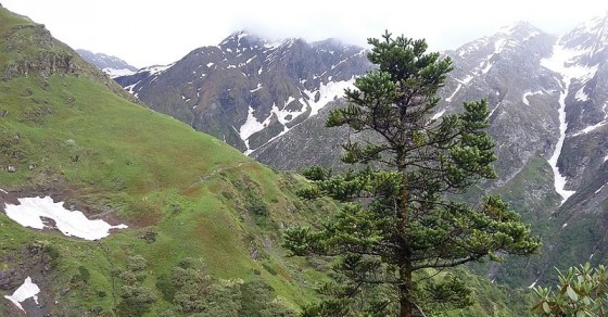 Kotkhai Photos, Pictures of Famous Tourist Places and Attractions ...