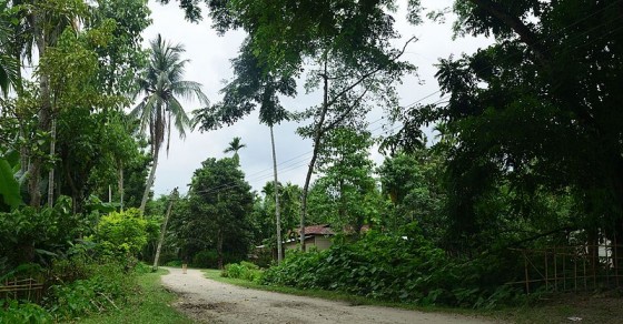 Jorhat Photos, Pictures of Famous Tourist Places and Attractions ...