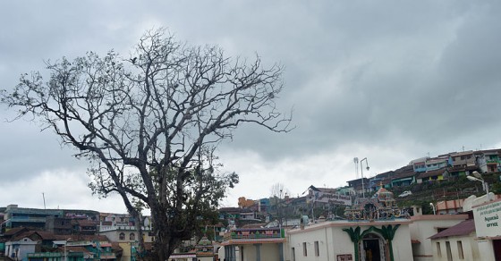 Theni Photos, Pictures of Famous Tourist Places and Attractions ...