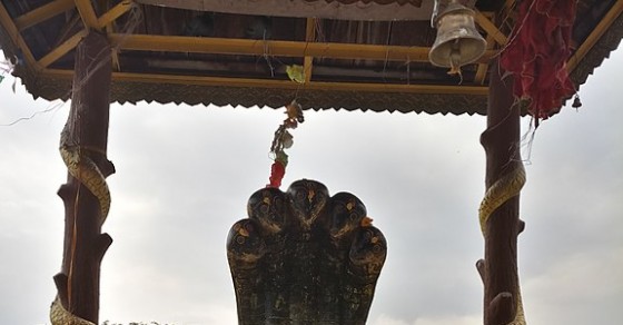 Karkotaka Nag Temple Photos-NativePlanet