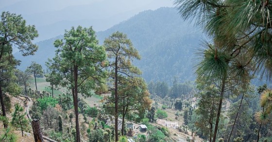 Almora Photos, Pictures of Famous Tourist Places and Attractions ...