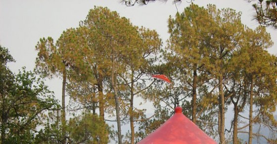 Almora Photos, Pictures of Famous Tourist Places and Attractions ...