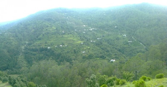 Almora Photos, Pictures of Famous Tourist Places and Attractions ...