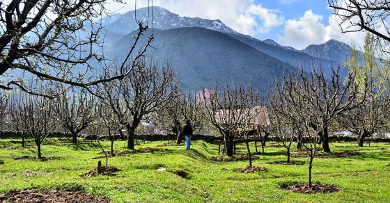 Baramulla Photos, Pictures of Famous Tourist Places and Attractions ...