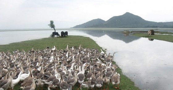 Baramulla Photos, Pictures of Famous Tourist Places and Attractions ...