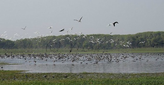 Aligarh Photos, Pictures of Famous Tourist Places and Attractions ...