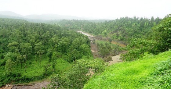 Vansda National Park Photos-NativePlanet