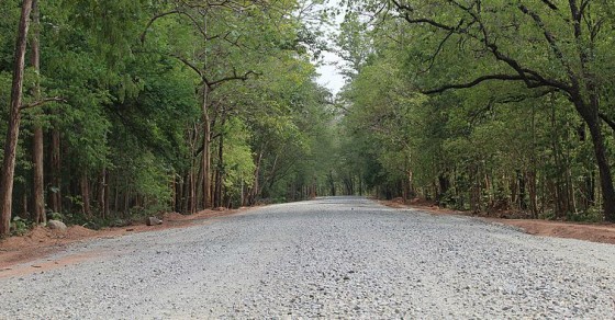 Surguja Photos, Pictures of Famous Tourist Places and Attractions ...