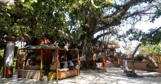 Akshya Vat Vriksh Photos-NativePlanet