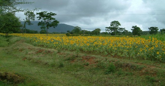 Samastipur Photos, Pictures of Famous Tourist Places and Attractions ...