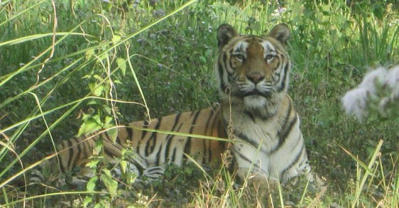 Palamu Photos, Pictures of Famous Tourist Places and Attractions ...