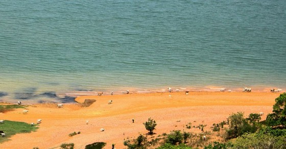 Cattle Island Photos-NativePlanet