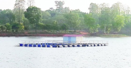 Hazaribagh Photos, Pictures of Famous Tourist Places and Attractions ...