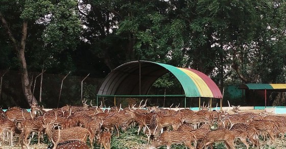 Poonch Photos, Pictures of Famous Tourist Places and Attractions ...