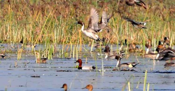 Raebareli Photos, Pictures of Famous Tourist Places and Attractions ...