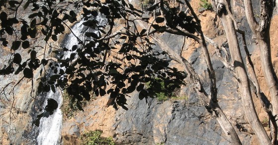 Silvassa Photos, Pictures of Famous Tourist Places and Attractions ...