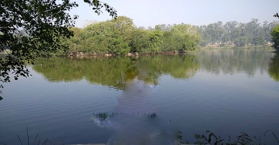 Rohtak Photos, Pictures of Famous Tourist Places and Attractions ...