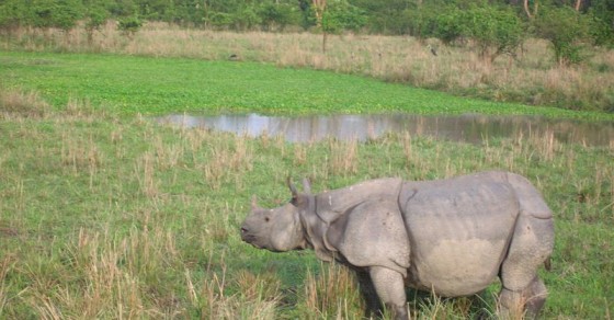 Pabha Sanctuary Photos-NativePlanet