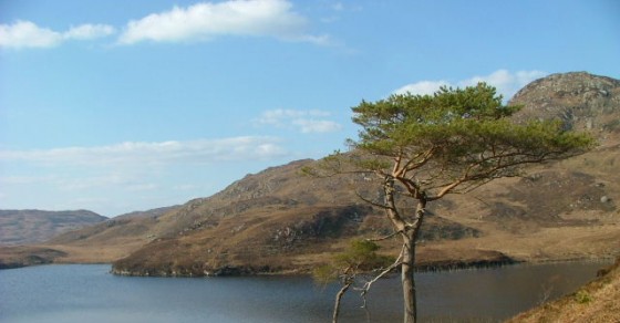 Pinangwan Photos, Pictures of Famous Tourist Places and Attractions ...