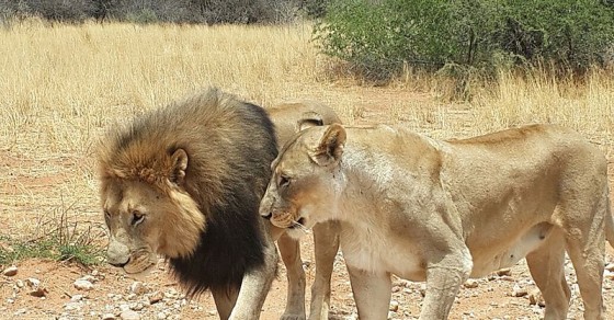 Pinangwan Photos, Pictures of Famous Tourist Places and Attractions ...