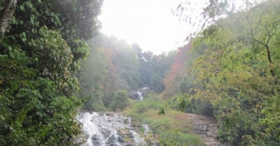 Abbey Falls - Coorg | Abbey Falls Photos, Sightseeing -NativePlanet