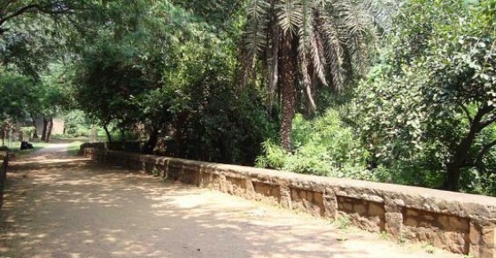 Delhi Ridge - Delhi | Delhi Ridge Photos, Sightseeing -NativePlanet