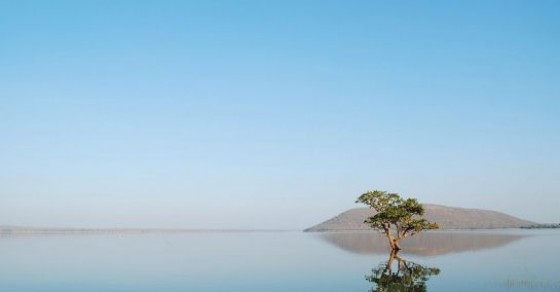 Pakhal Lake - Warangal | Pakhal Lake Photos, Sightseeing -NativePlanet