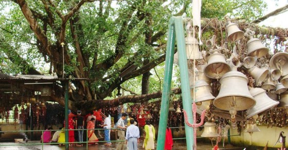 Tilinga Mandir - Tinsukia | Tilinga Mandir Photos, Sightseeing ...