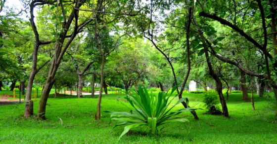 Looksi (Kupli) Park - Jaintia Hills | Looksi (Kupli) Park Photos ...