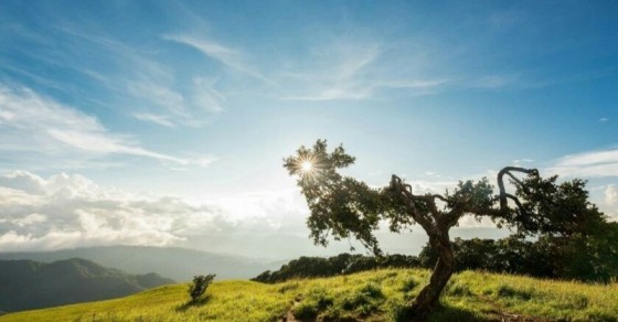 Shirui Kashung Peak - Ukhrul | Shirui Kashung Peak Photos, Sightseeing ...