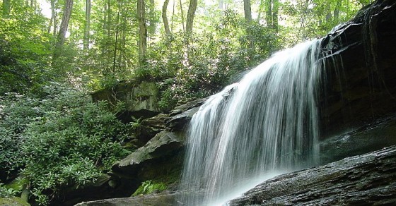 Shanti Falls - Kemmannugundi | Shanti Falls Photos, Sightseeing ...