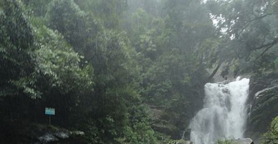 Kadambi Falls - Kudremukh | Kadambi Falls Photos, Sightseeing -NativePlanet