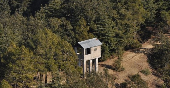 Chail Wildlife Sanctuary - Chail | Chail Wildlife Sanctuary Photos ...