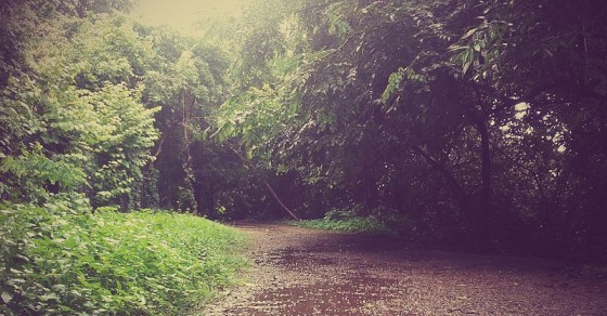 Trekking - Thenmala | Trekking Photos, Sightseeing -NativePlanet