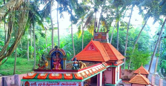 Mariamman Temple - Pollachi | Mariamman Temple Photos, Sightseeing ...