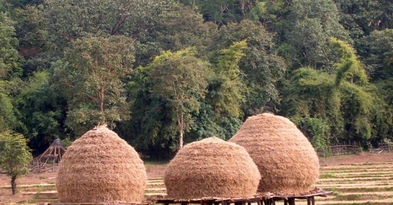 Talevadi Village - Nersa | Talevadi Village Photos, Sightseeing ...