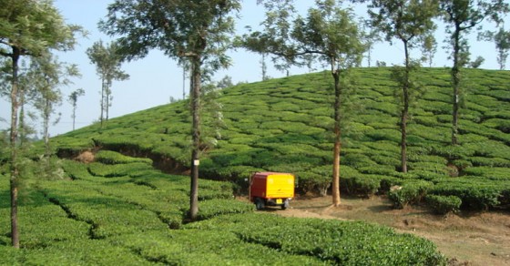 Neelimala View Point - Wayanad | Neelimala View Point Photos ...