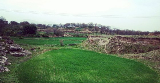 Haripur-Guler - Kangra | Haripur-Guler Photos, Sightseeing -NativePlanet