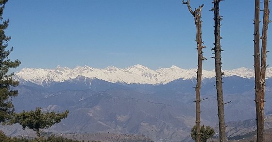 Chanshal Range - Rohru | Chanshal Range Photos, Sightseeing -NativePlanet