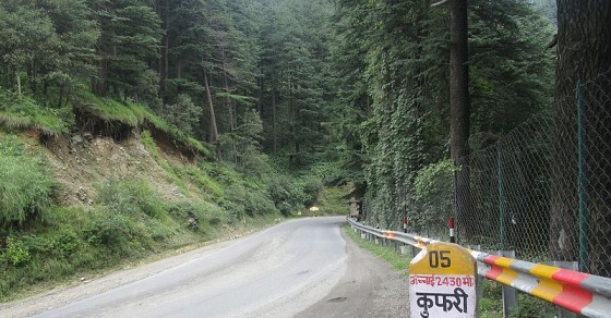 Kiala Forest - Kotkhai | Kiala Forest Photos, Sightseeing -NativePlanet