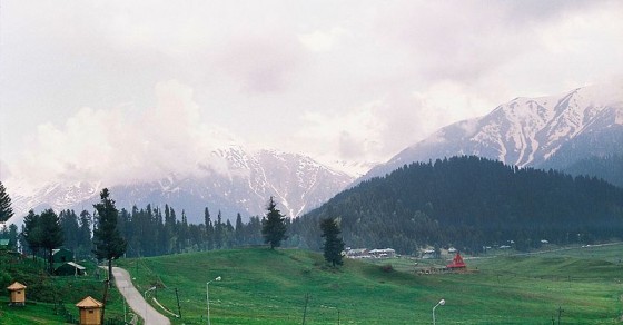 Gulmarg Biosphere Reserves - Gulmarg | Gulmarg Biosphere Reserves ...